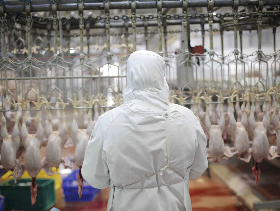 About FIANZ HALAL – Fianz Halal